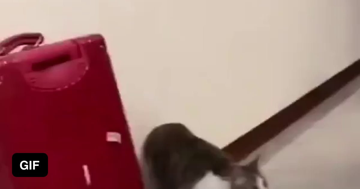 Ready , set , noo - 9GAG