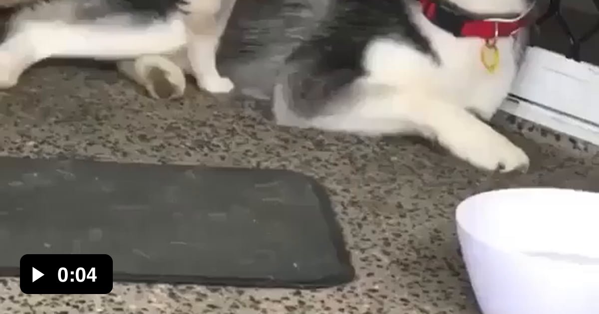Husky.exe stopped working - 9GAG
