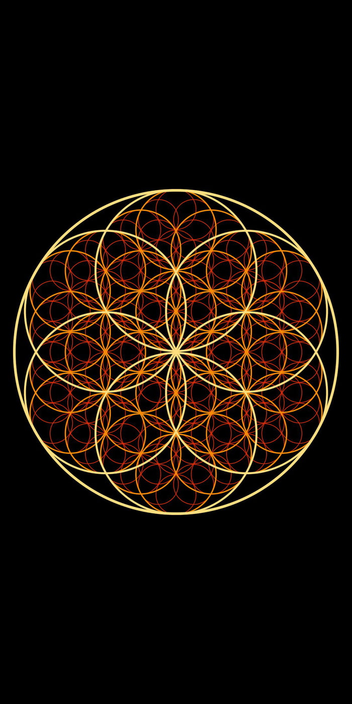 Flower of life (1080 x 2160) - 9GAG