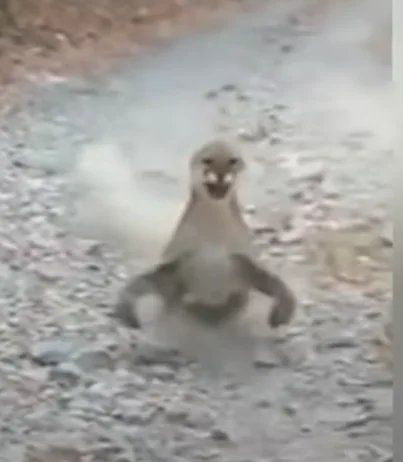 Wanna beef bruh - 9GAG