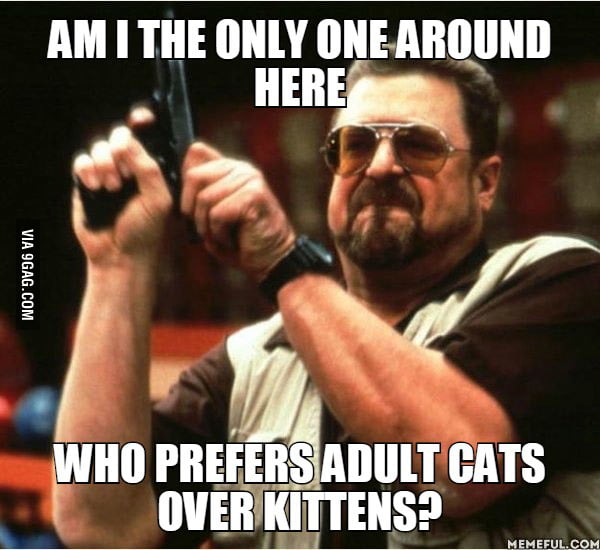 Call me weird, but - 9GAG