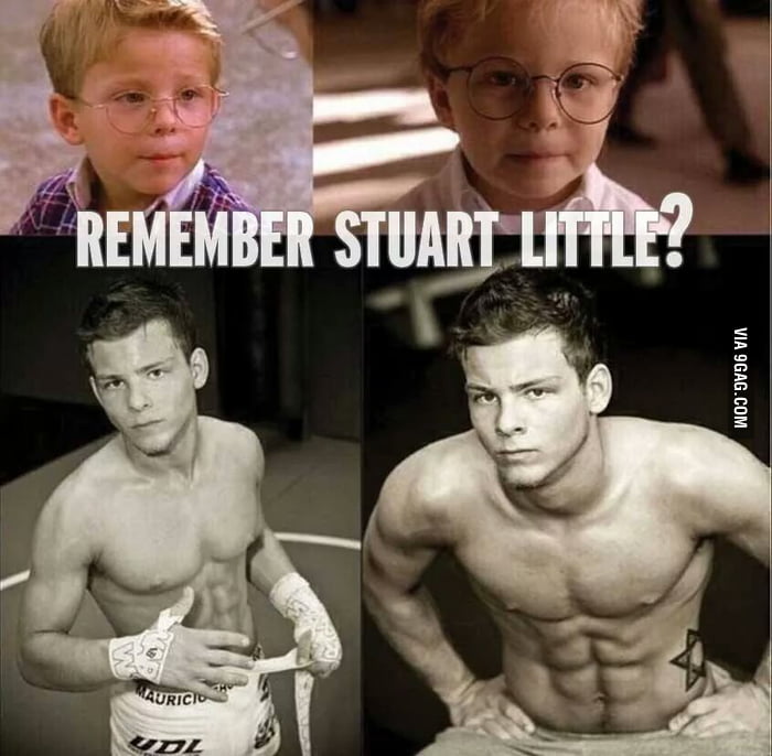 Remember Stuart Little? - 9GAG