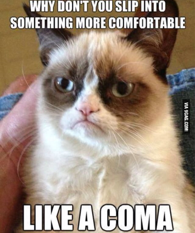 Oh grumpy cat - 9GAG