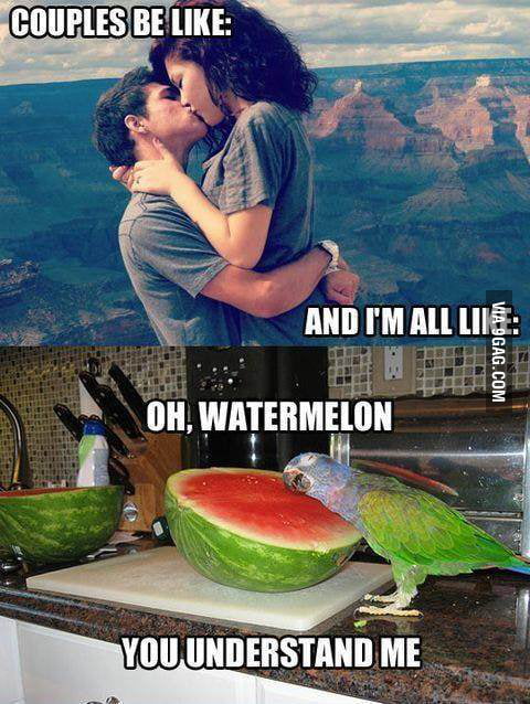 Oh WATERMELON - 9GAG