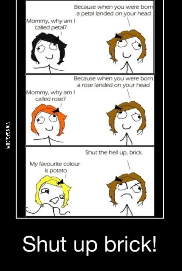 Shut up, brick! - 9GAG