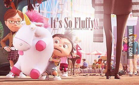 Its so fluffy! -Agnes - 9GAG
