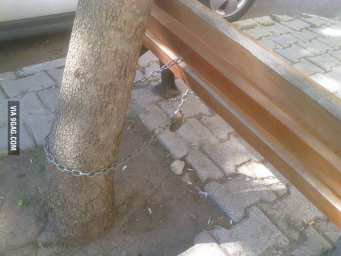 Meanwhile in turkey - 9GAG