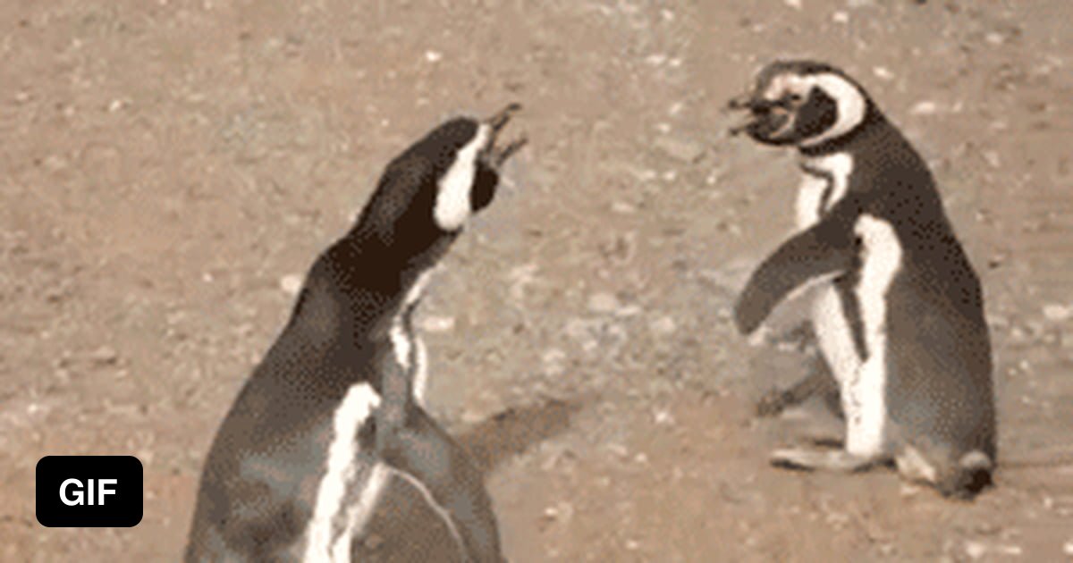 Stop mocking me! - 9GAG