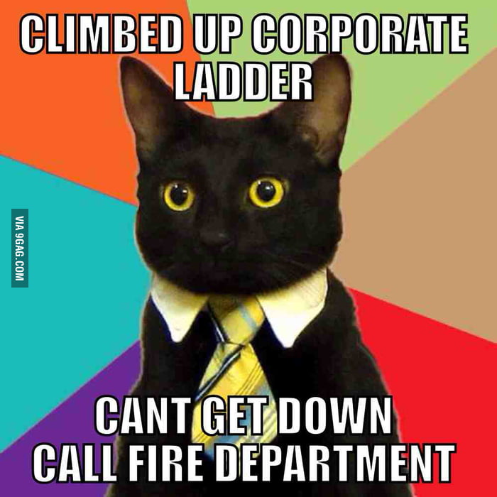 Call right meow - 9GAG