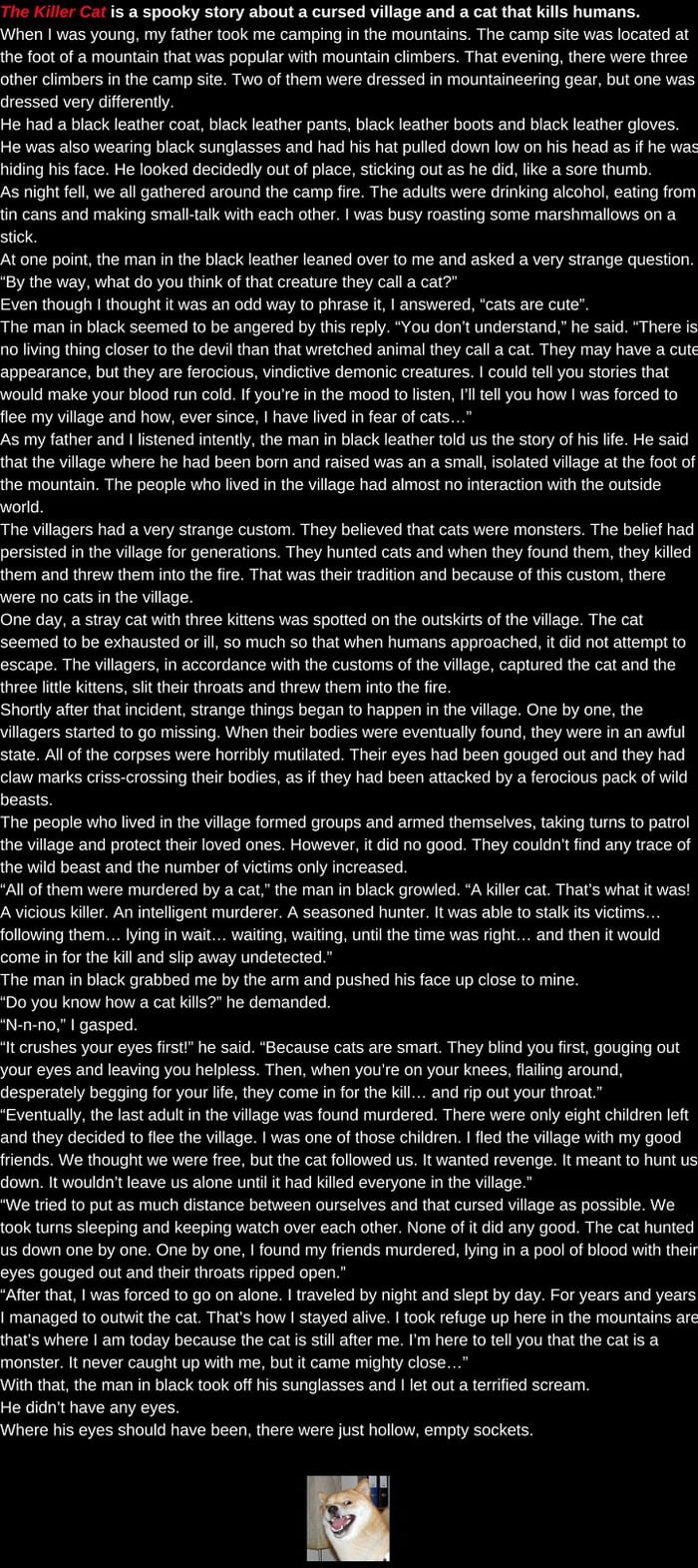 The Killer Cat - 9GAG