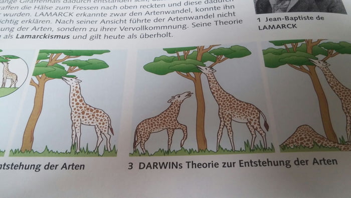 Giraffes are heartless creatures - 9GAG