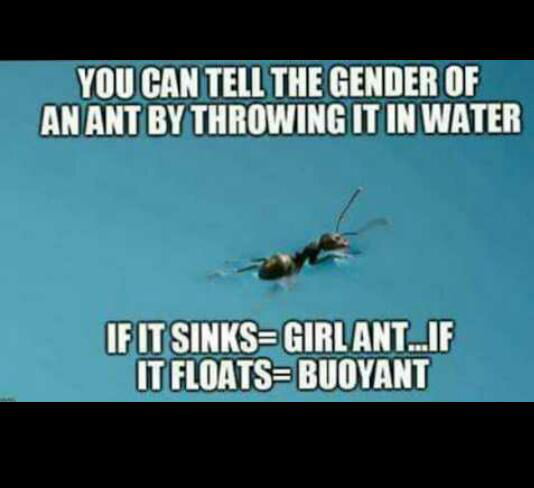 Fluid Dynamics Memes - 9GAG