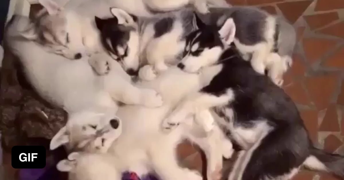 5 More Minutes 9gag