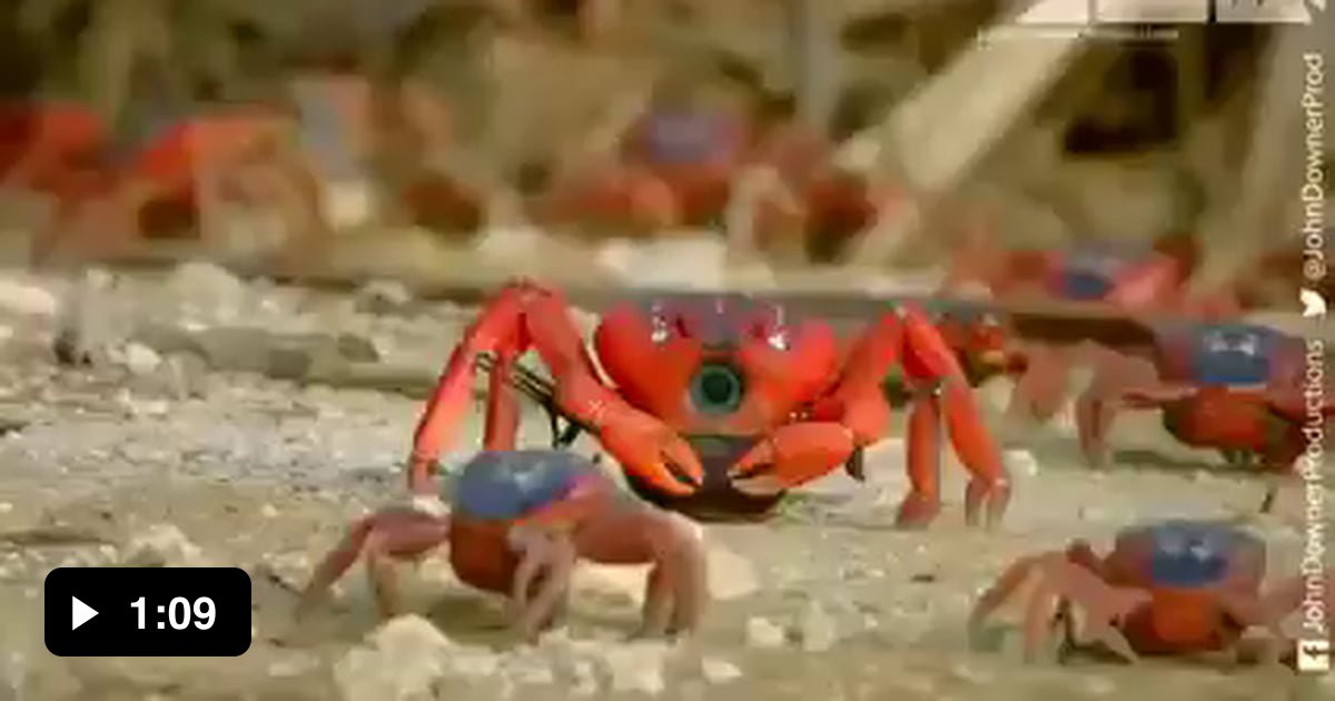 Robotic Spy Crab. - 9GAG