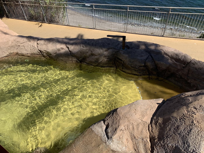 There’s a reason why yellow tiles are not commonly used in swimming ...