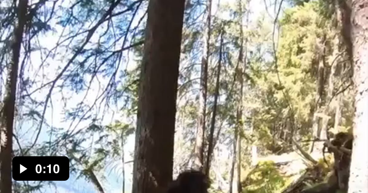 Have you ever wanted to run off a cliff with a parachute? - 9GAG