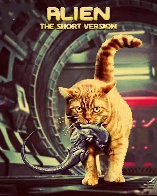 Pinche michi se hubiera visto bien chingon si atrapaba al alien - 9GAG