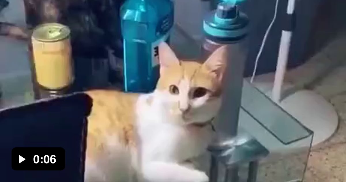 Me when my mum tried to force-feed me veggies when i was young. - 9GAG