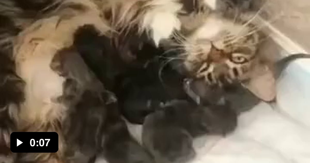 "Mama Catherine doesn't know when to open and close her mouth", said ...