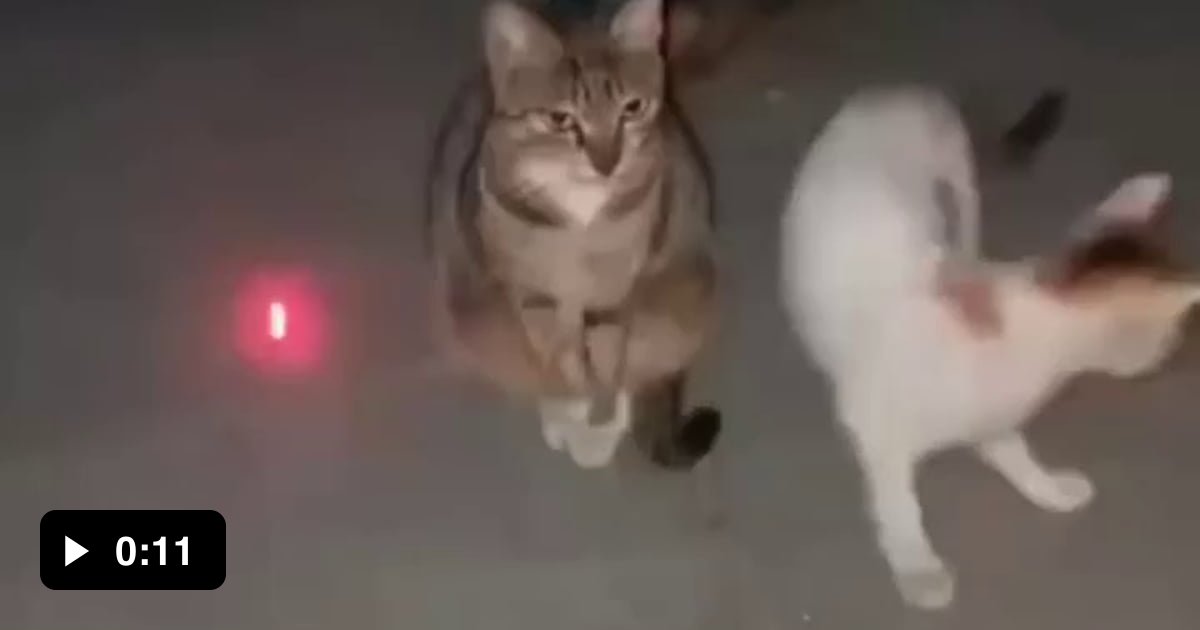 Do it debra. pull the trigger - 9GAG