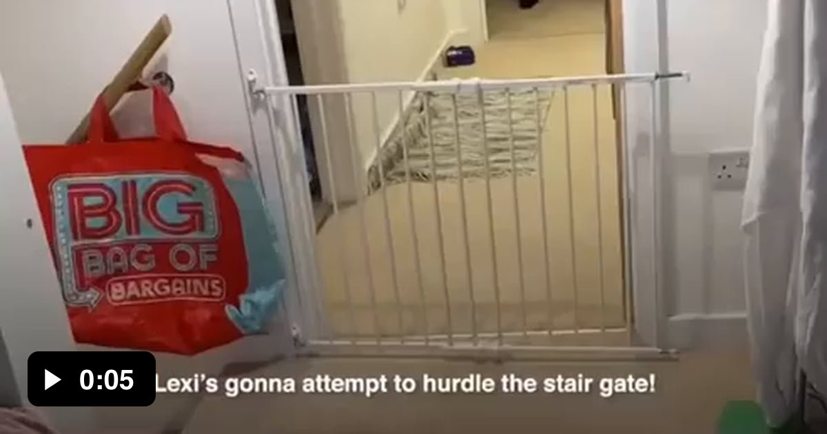 Trying to jump over this tiny stair gate - 9GAG