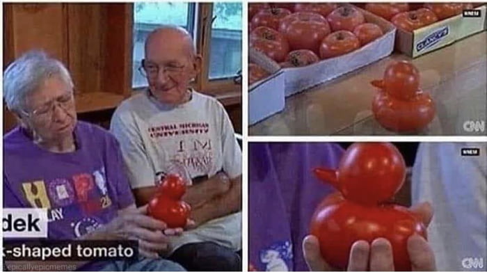 This old couple appeared on CNN because of this duck-shaped tomato - 9GAG