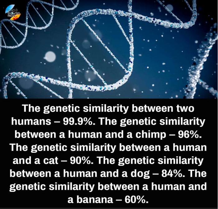Genetics is a mystery field - 9GAG