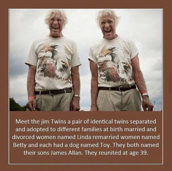 The Jim Twins - 9GAG