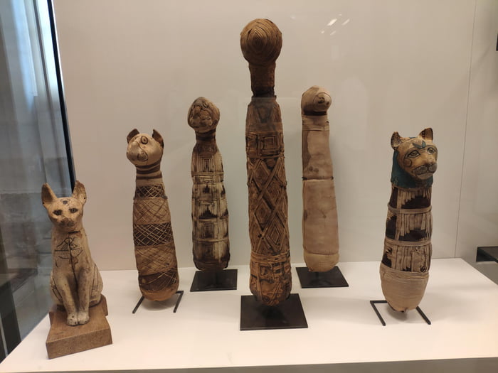 In ancient Egypt, cats were considered sacred animals. Cats were ...