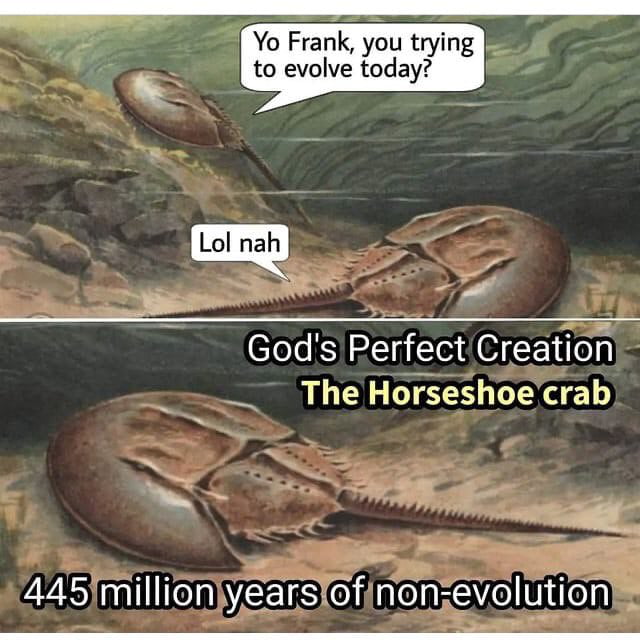 Not Evolving done right.... - 9GAG