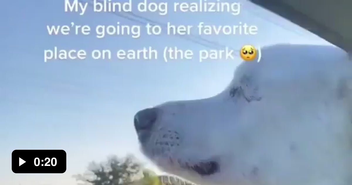 Smell o vision - 9GAG