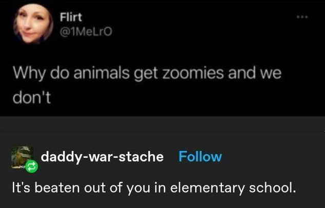 Zoom zoom zoom - 9GAG