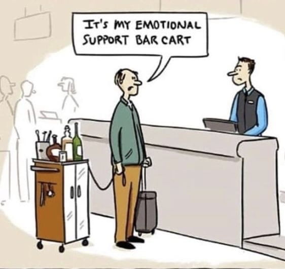 It identifies as a St Bernard. - 9GAG