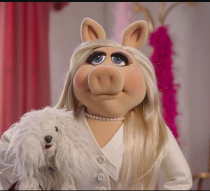 Trans be like, DATE ME! - 9GAG