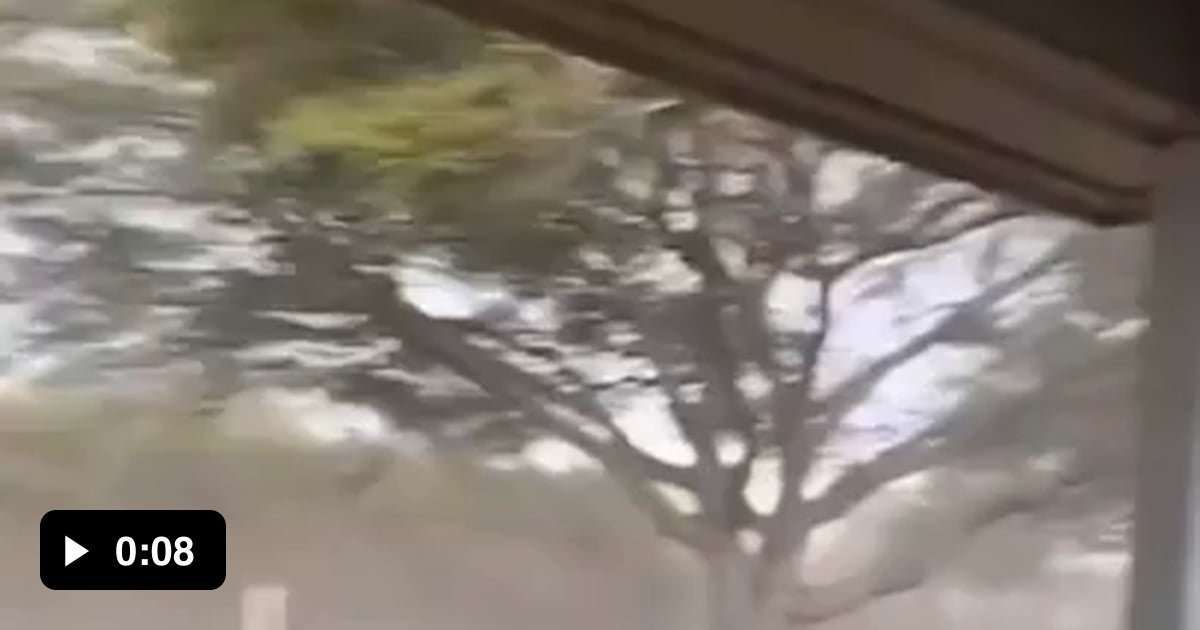The Insanity Of A Twister 9gag