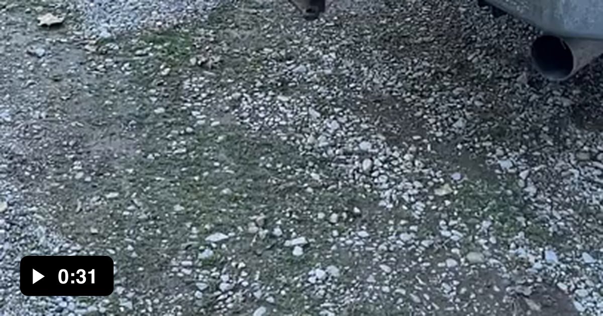 Epic Fail… but he’s a tough boy - 9GAG