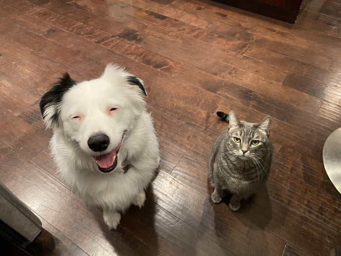 Happy & Grumpy - 9GAG