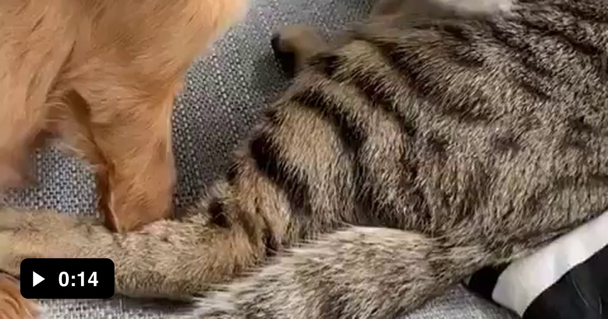 Two best buds - 9GAG