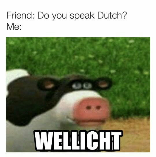 Wellicht - 9GAG