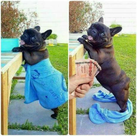 When being hoe is life. - 9GAG