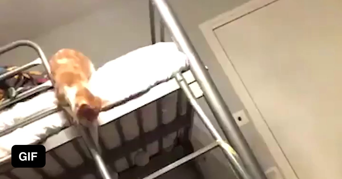 How's my day going today... FML - 9GAG