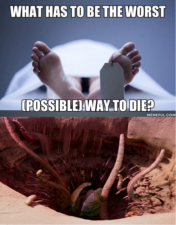 "In its belly, you will find a new definition of pain and suffering as ...