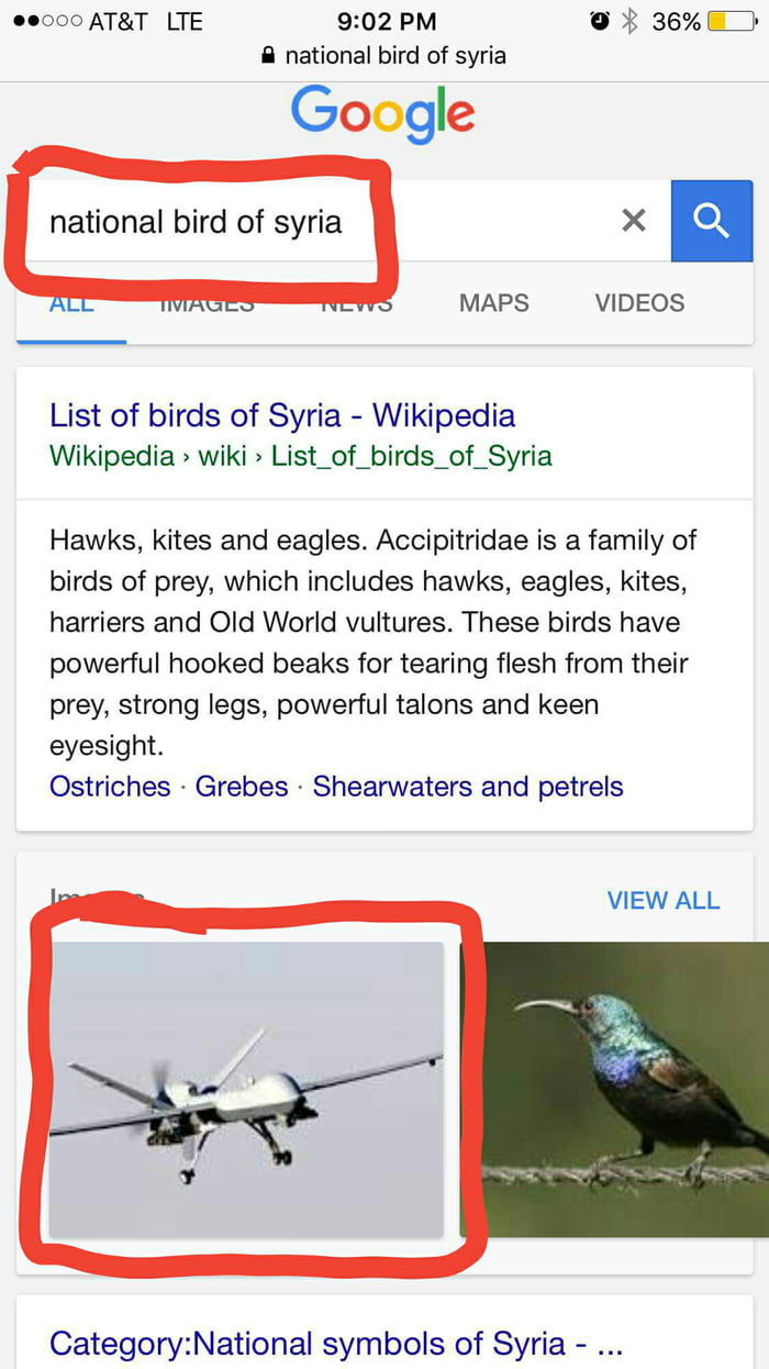 National bird of Syria is a predator drone - 9GAG