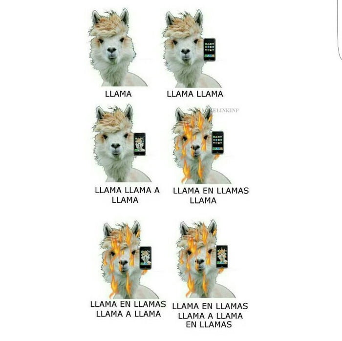 Spanish puns. Llama = animal, llama = call, llama = flame - 9GAG