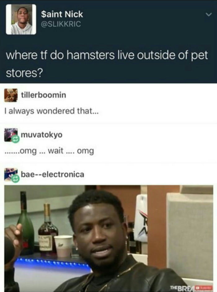 Seriously tho, where the f**k do they live - 9GAG