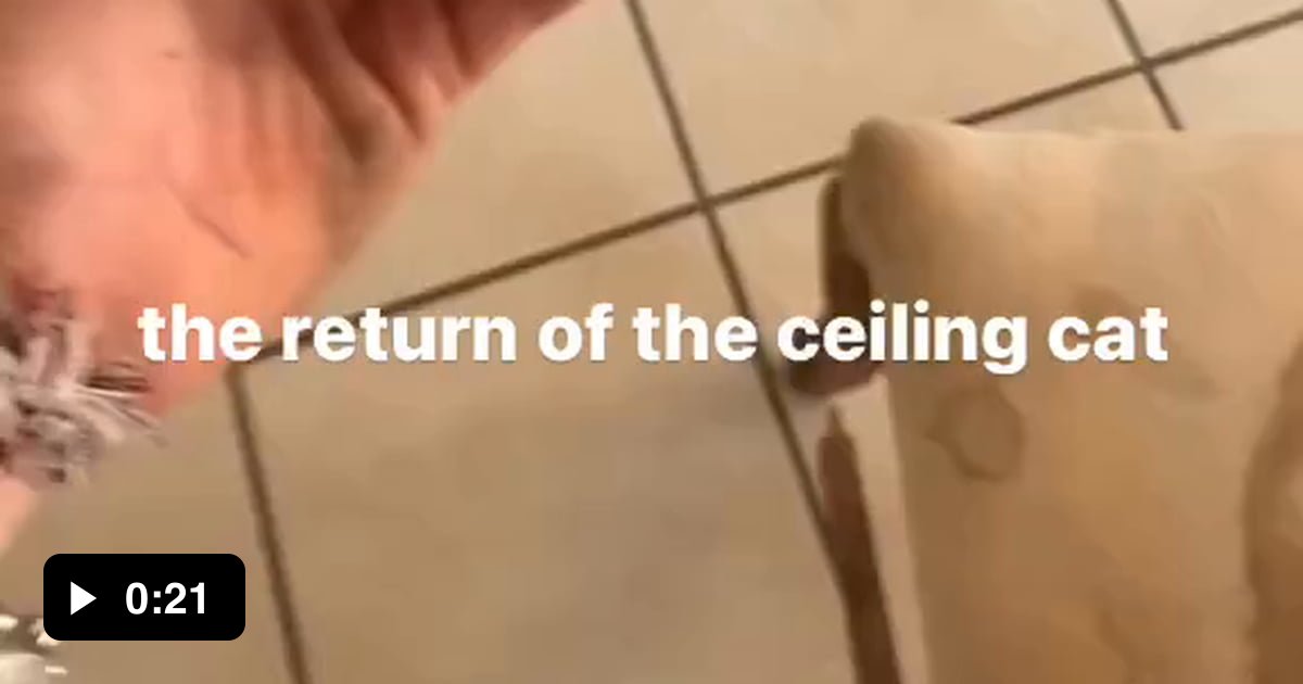 My favourite part of the trilogy: Return of the ceiling cat - 9GAG