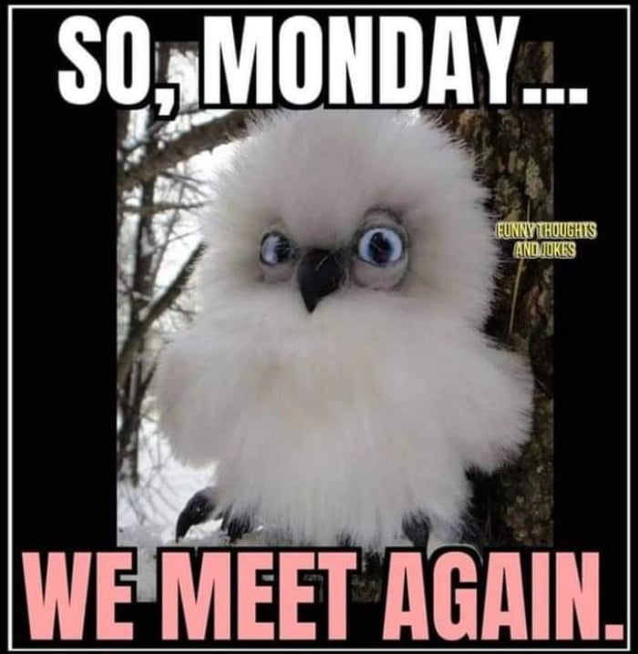 Monday humor - 9GAG