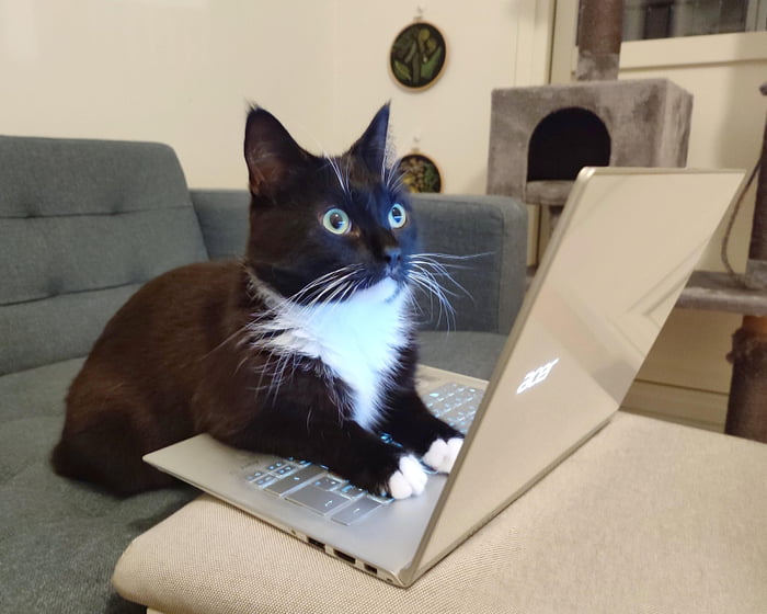 Remote work has messed up his work-life balance. It's Friday night but he's still working! - 9GAG