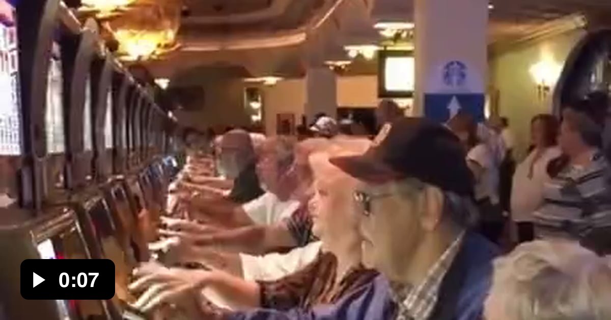 The human bot farm upvoting all Trump + Musk memes - 9GAG