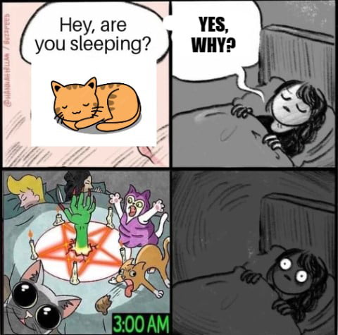 Every damn night - 9GAG